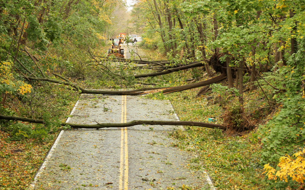 What can we accomplish together | Forestry Sector Council