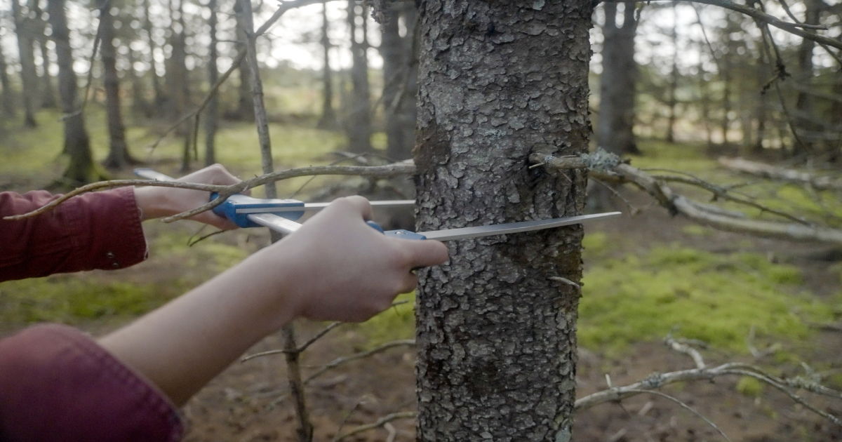 About Us | Forestry Sector Council | Nova Scotia