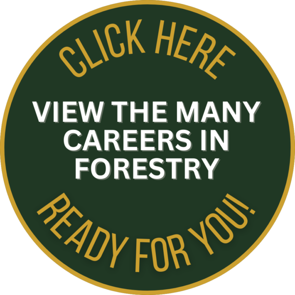 Forestry Careers | Forestry Sector Council | Nova Scotia